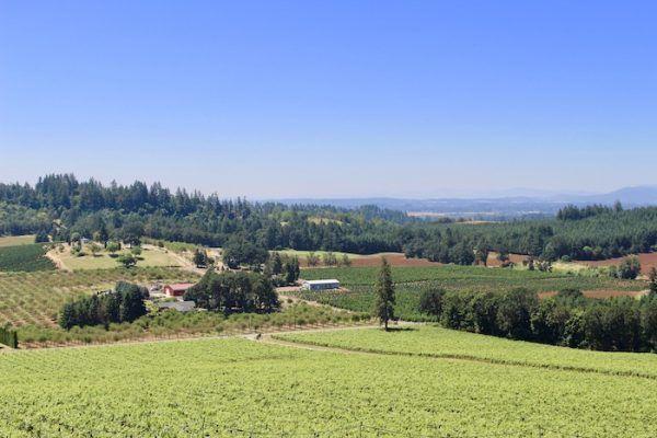 Willamette Valley Vineyards: Wine Tasting in Oregon Wine Country!