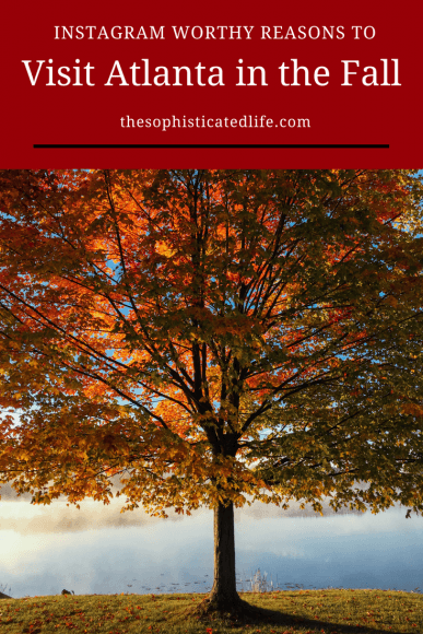 Instagram Worthy Reasons to Visit Atlanta in the Fall!