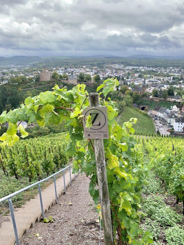 A Guide to Riesling Wine in Mosel Germany. - The Sophisticated Life