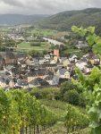 A Guide to Riesling Wine in Mosel Germany. - The Sophisticated Life