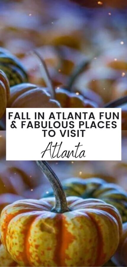 Fall in Atlanta: Fun & Fabulous Places to Visit - The Sophisticated Life